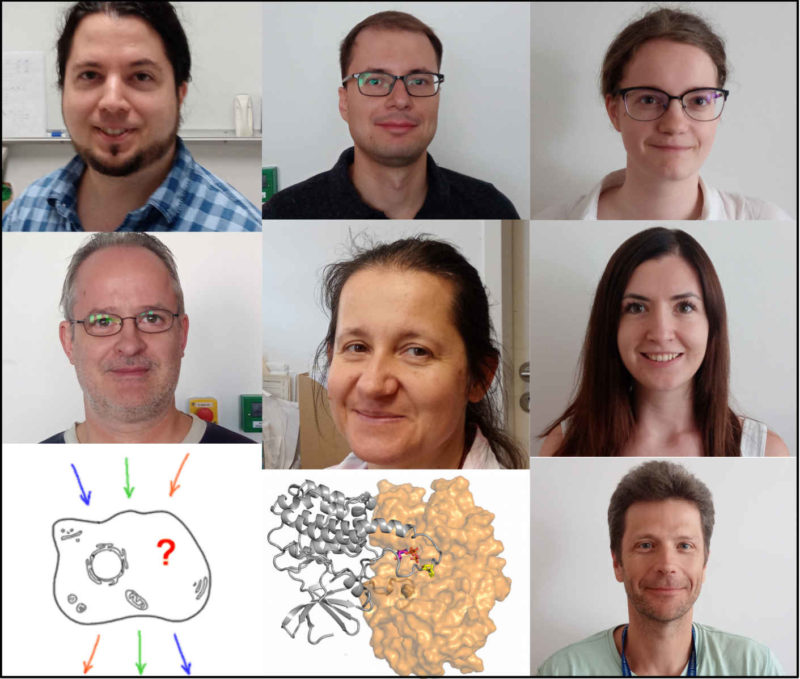 Research Groups – Institute of Organic Chemistry